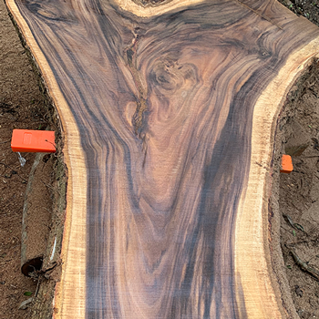 Monkeypod Lumber and Slabs – Kalani Hardwoods